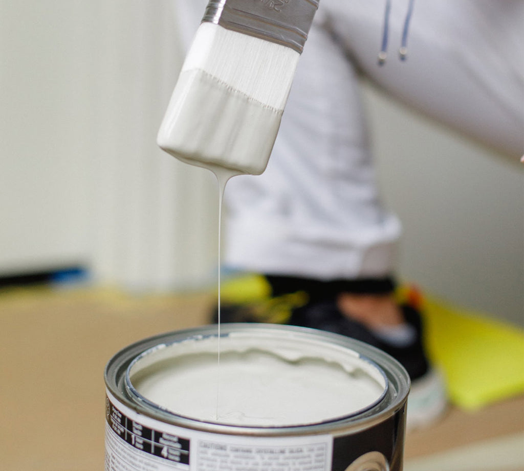 How to Choose the Right Paint Sheen – Zibra